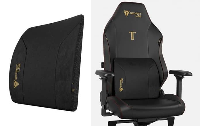 Secretlab Memory Foam Lumbar Pillow Review | ChairsFX