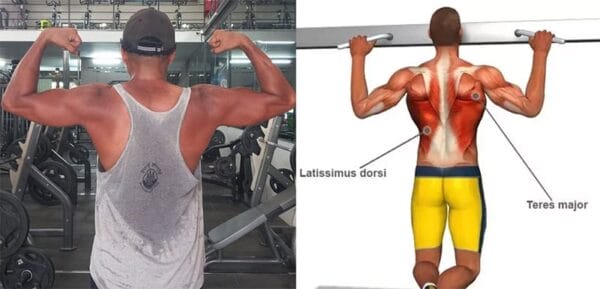 Titan Evo 2024 Review: Superb Comfort, Adjustability & Durability