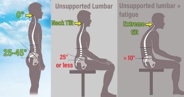 Ergonomics Meaning: Neutral Posture & Chair Biomechanics